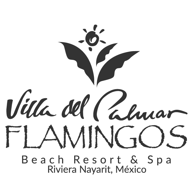 Villa del Palmar Flamingos Beach Resort & Spa | Official Site